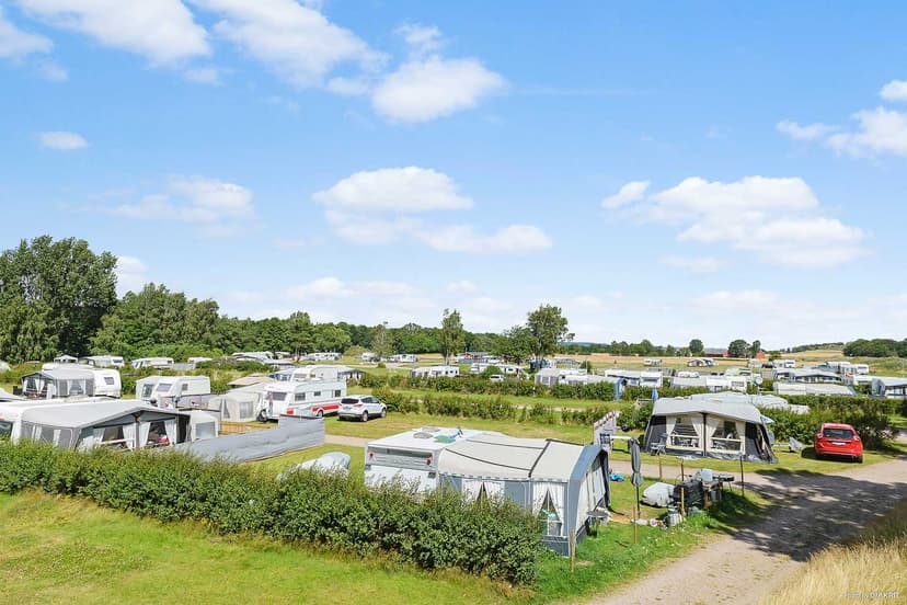 Spännande nyheter på First Camps destinationer.| First Camp