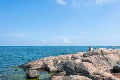 First Camp Gunnarsö – Oskarshamn - Aktiviteter