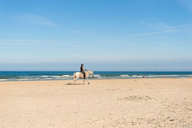 Lakolk Strand | En av Europas bredaste stränder | 12km lång strand