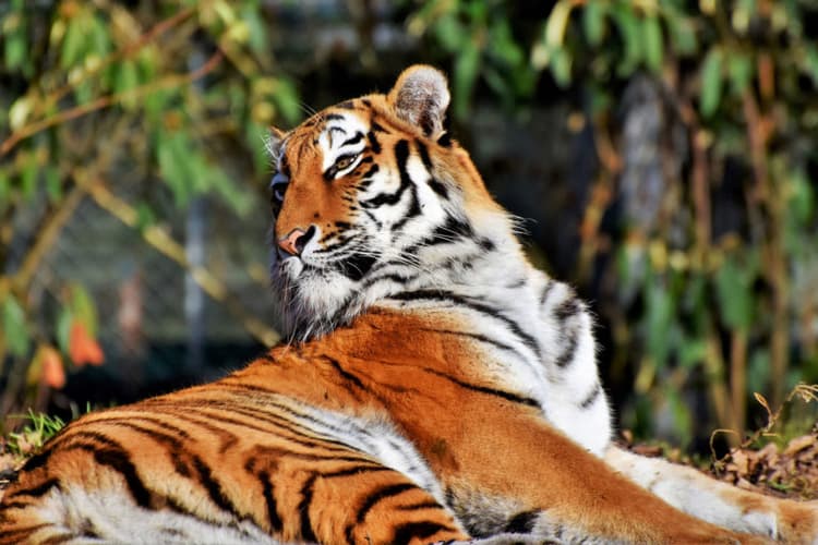 Kolmårdens Djurpark | Camping Norrköping