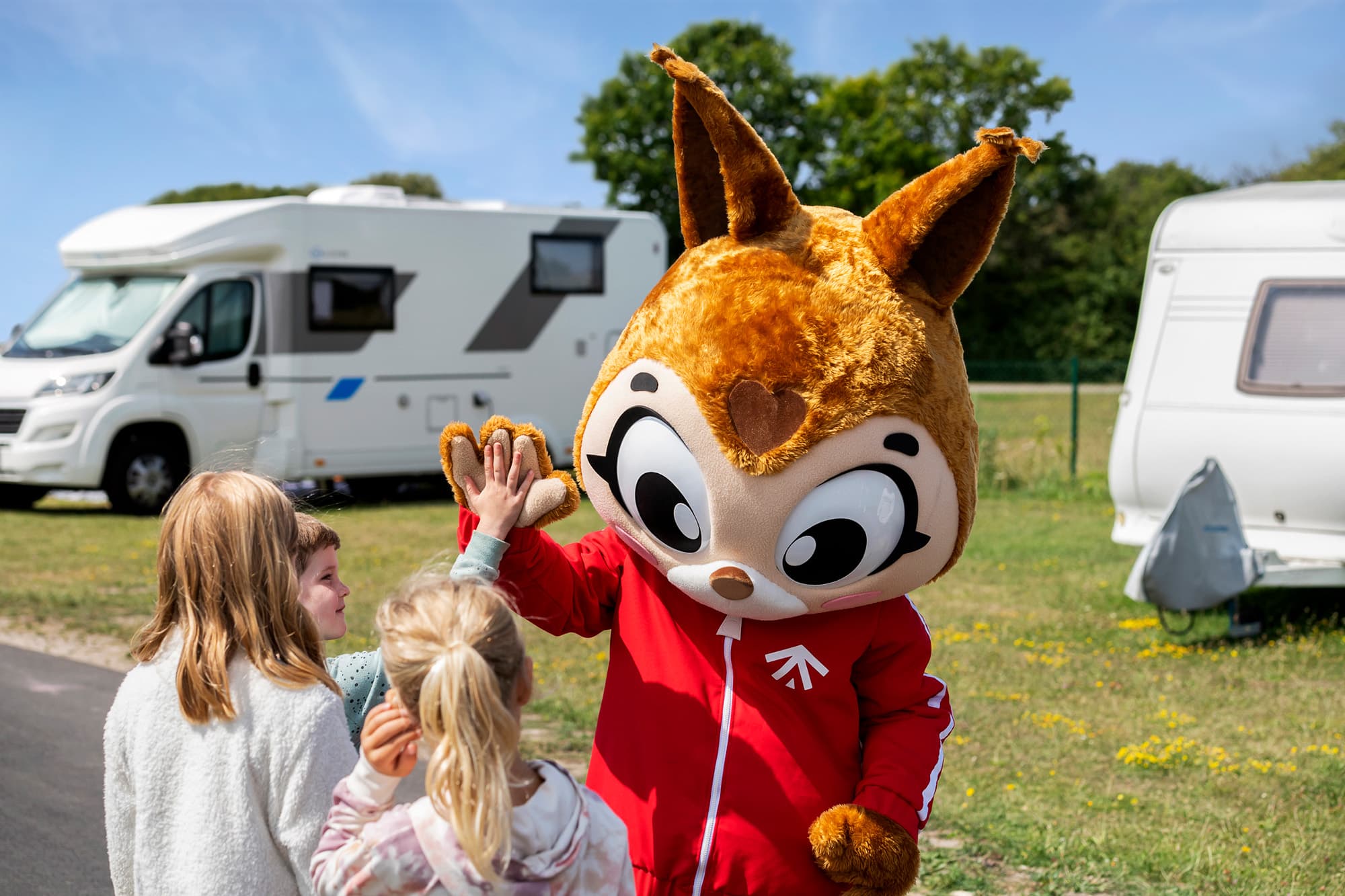 Camping i Båstad precis vid havet | First Camp Torekov - Båstad