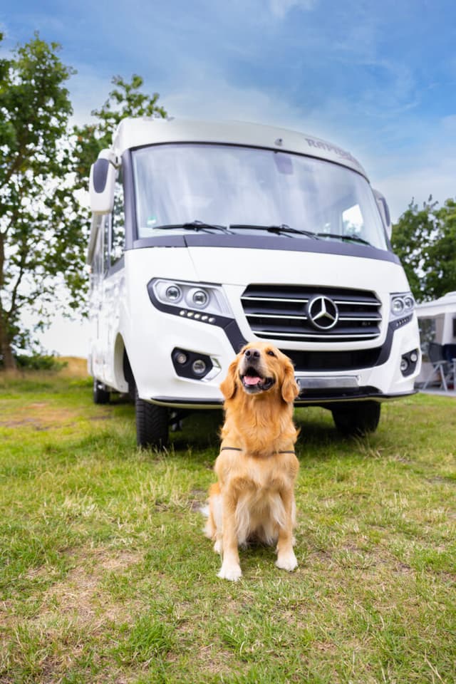 Camping | First Camp Råå Vallar Helsingborg